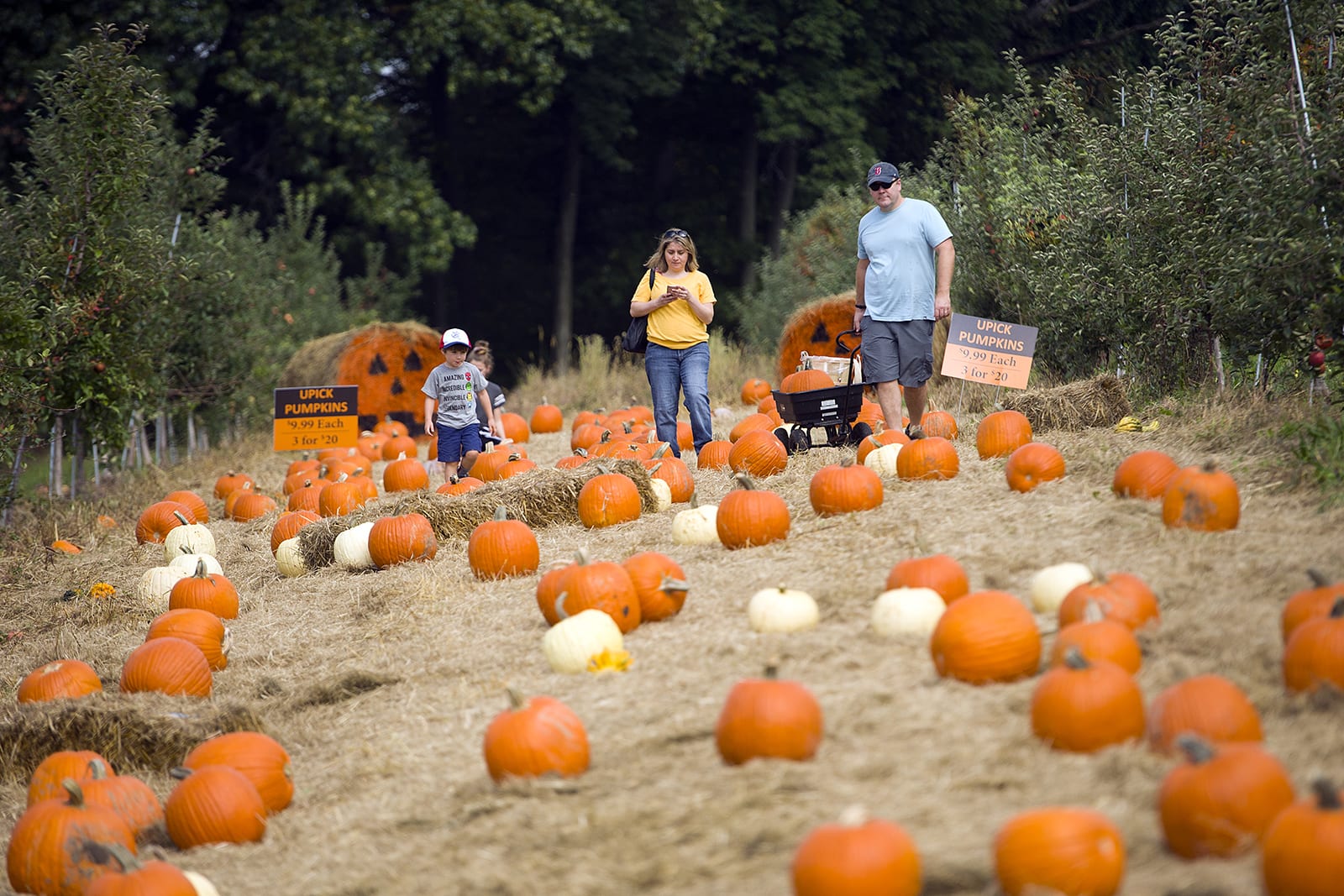 Five Fall Activities to Enjoy in Greater Reading | Meet Greater Reading