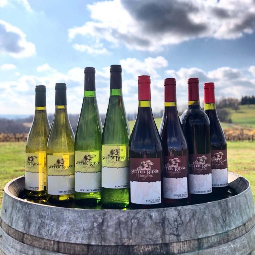 Setter Ridge Vineyards: where wine, music and dogs meet | Meet Greater ...