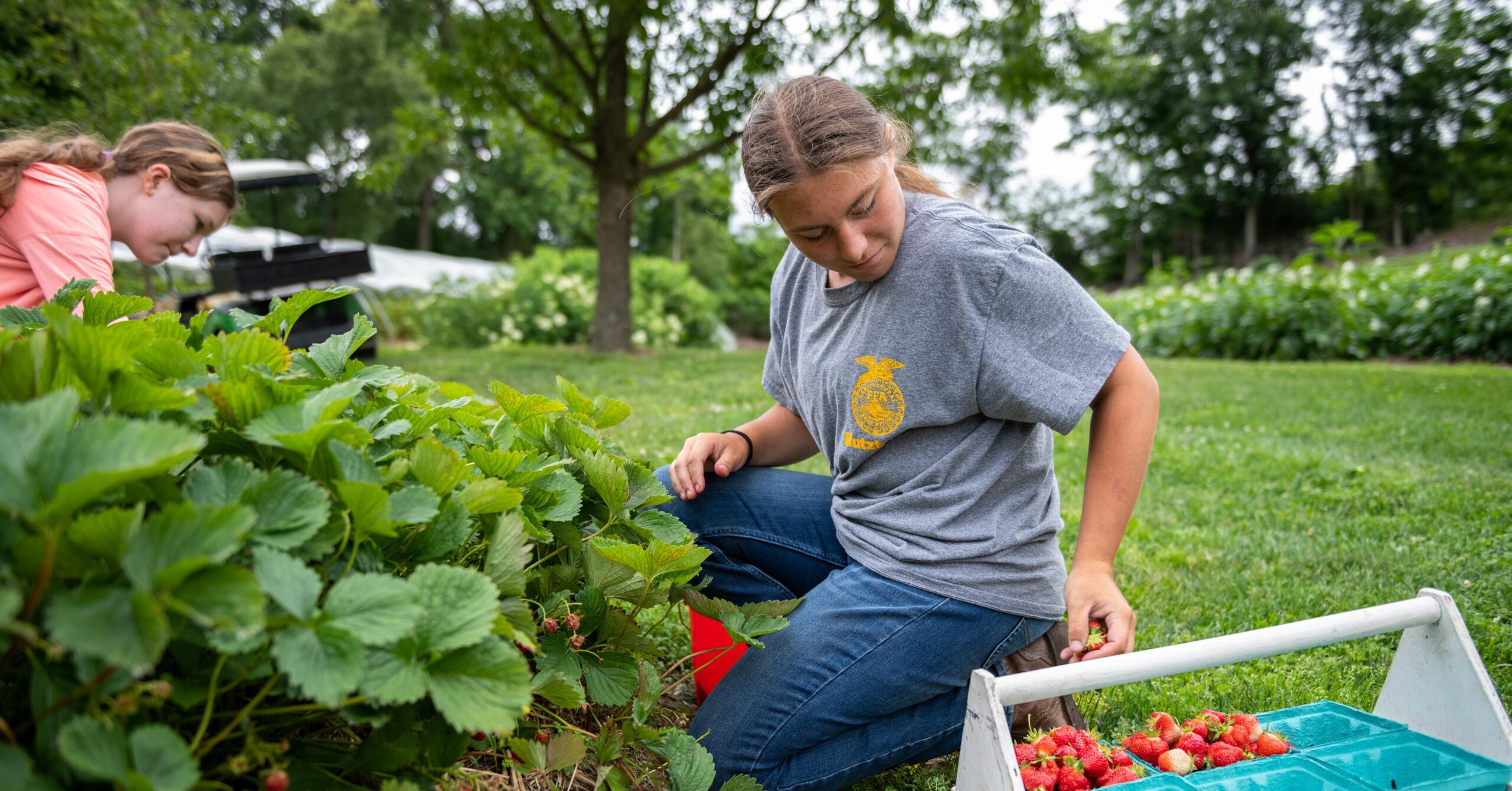 Farm-tastic finds | Meet Greater Reading